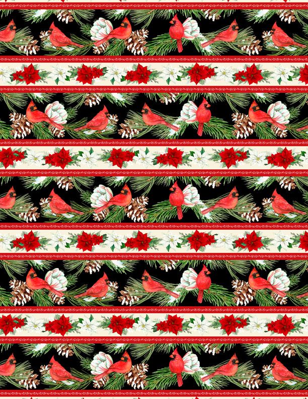 Cardinal Cozy Repeating Stripe Multi – Pinwheels & Posies