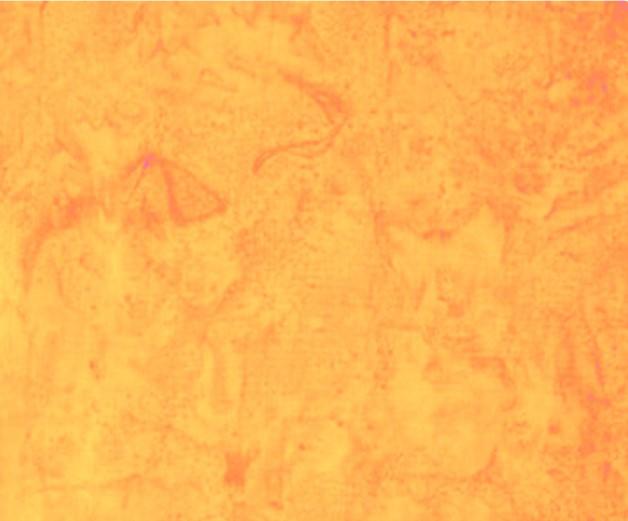 Ketan Batik Tangerine – Pinwheels & Posies